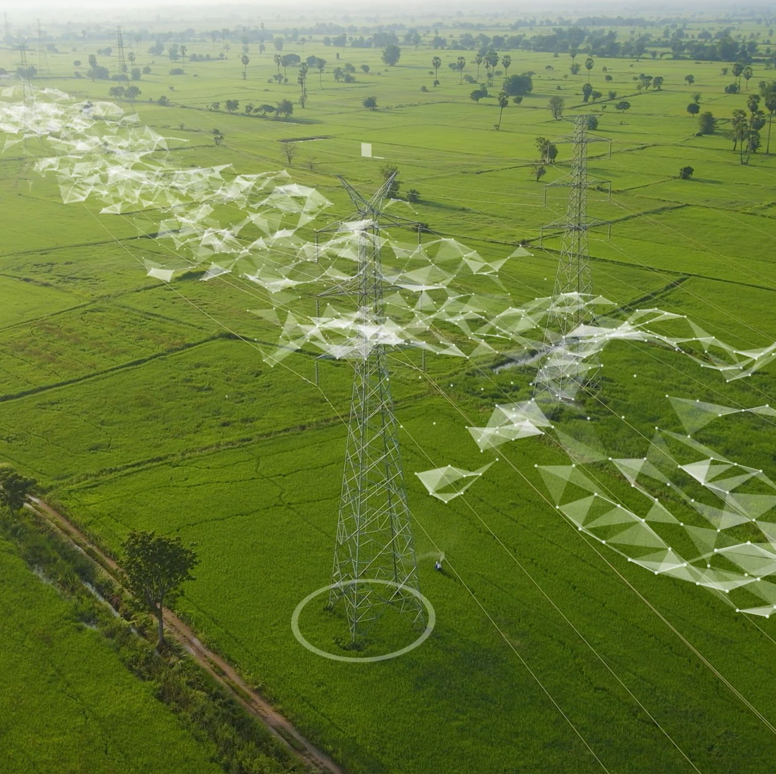 Trench Group Identity | Our Values and Vision for the Future